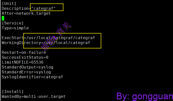 夜莺监控插件categraf部署 – 运维Devops